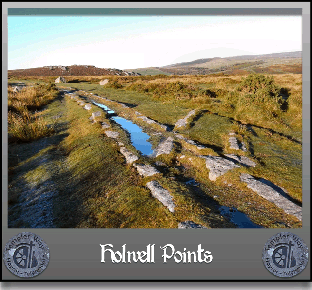 Holwell Quarry – Legendary Dartmoor