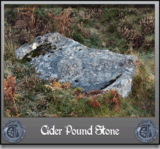 Holwell Quarry – Legendary Dartmoor