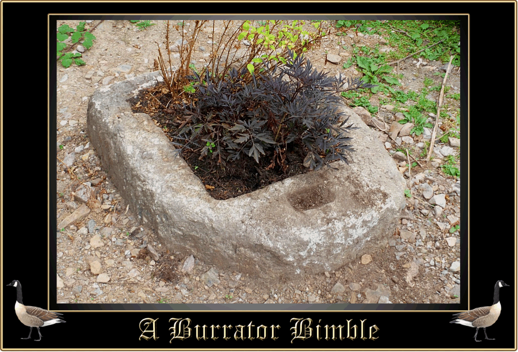 Burrator – Legendary Dartmoor