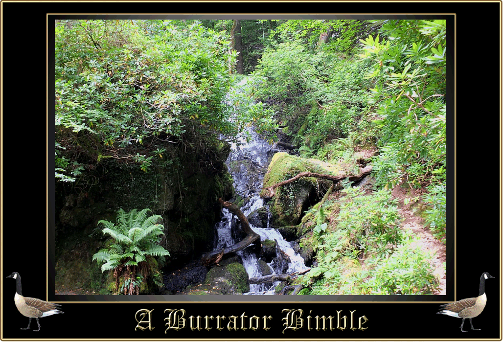 Burrator – Legendary Dartmoor