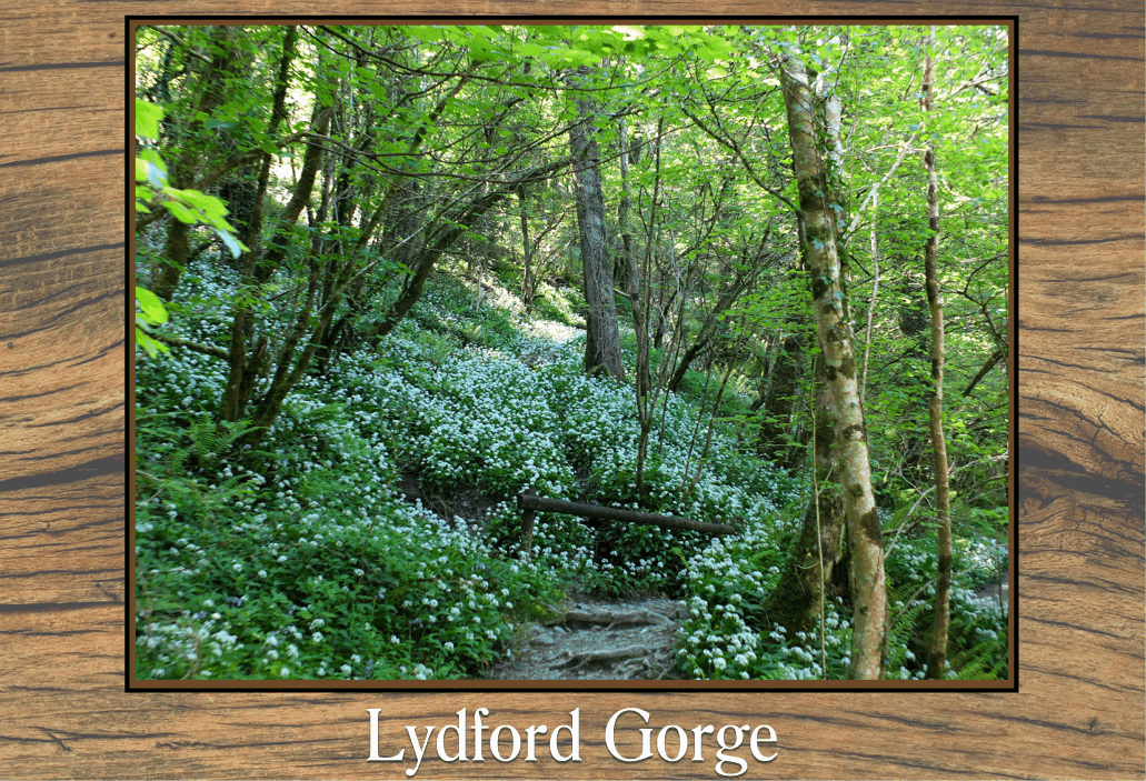 Lydford Gorge – Legendary Dartmoor