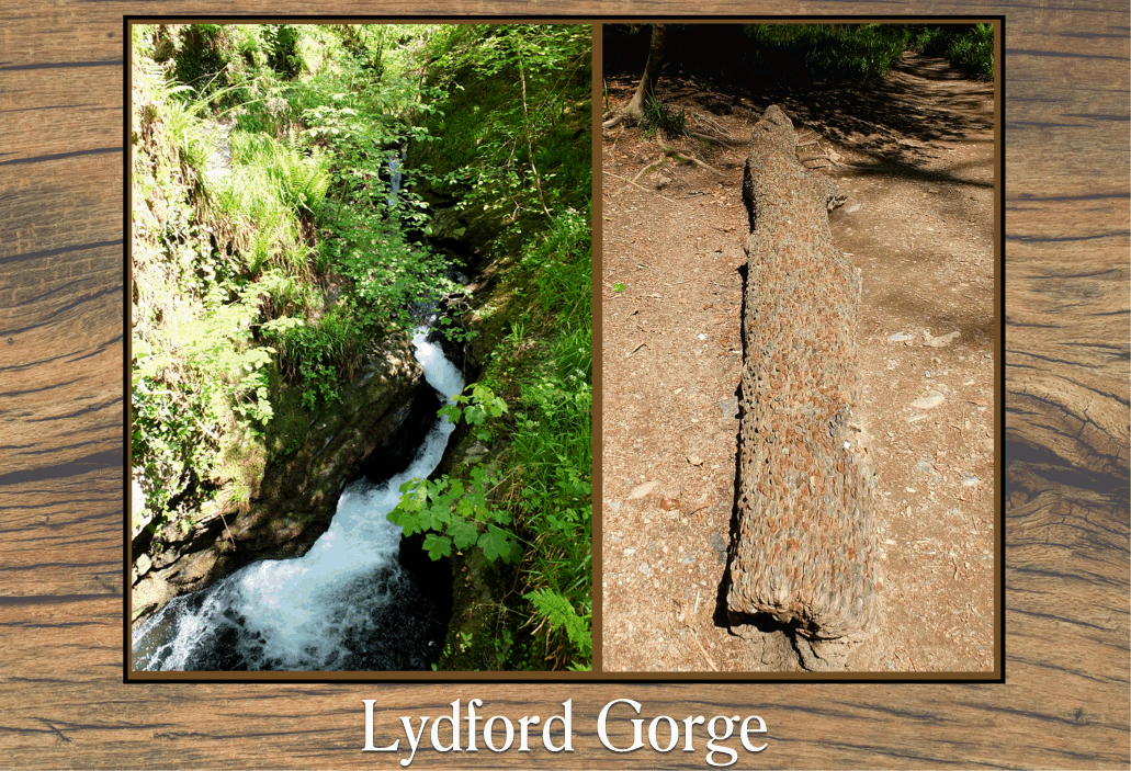Lydford Gorge – Legendary Dartmoor