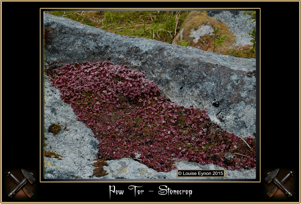 Pew tor – Legendary Dartmoor