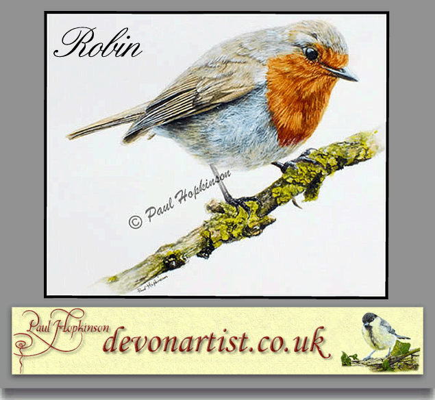 Paul Hopkinson – Legendary Dartmoor