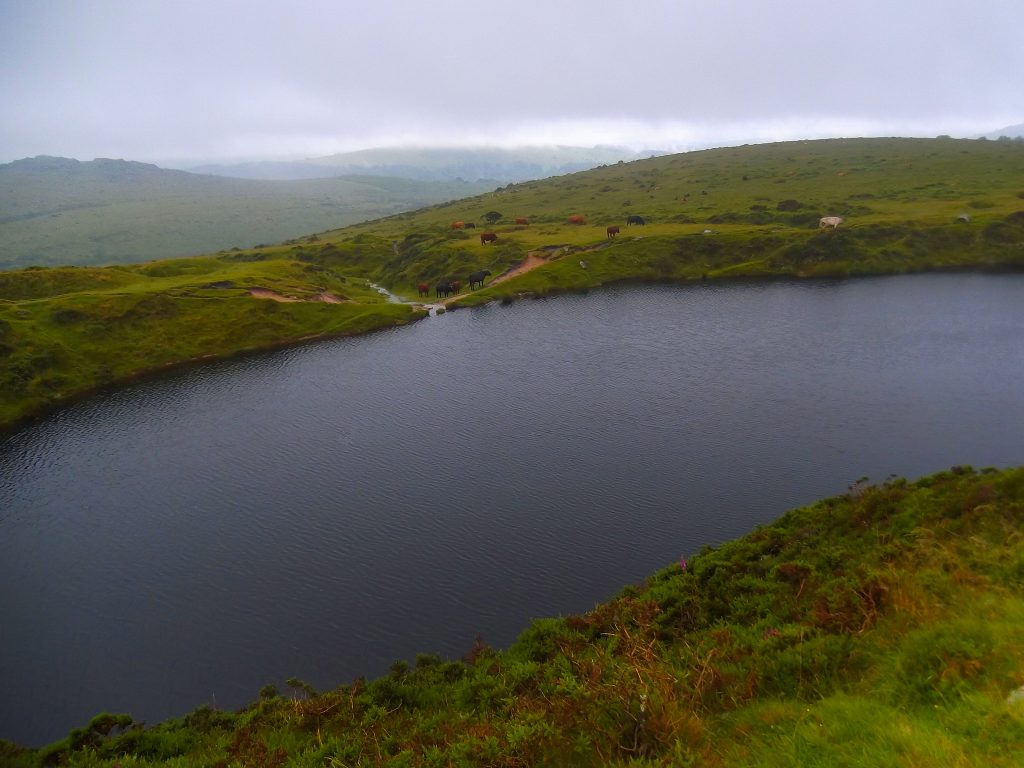 Crazywell4 – Legendary Dartmoor