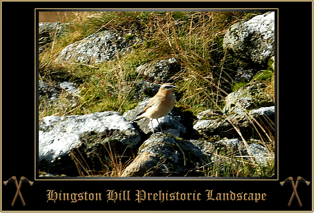 Hingston Hill – Legendary Dartmoor