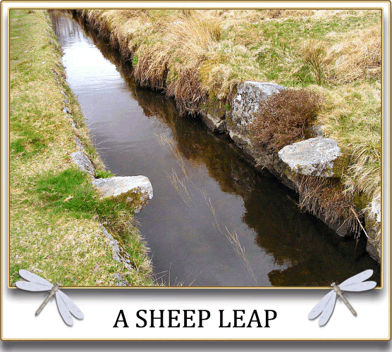 Leats – Legendary Dartmoor