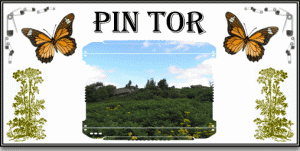 Pin Tor – Legendary Dartmoor
