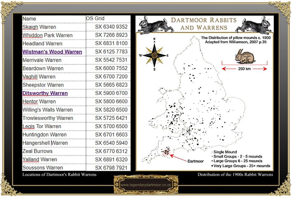 Rabbit Warrens – Legendary Dartmoor