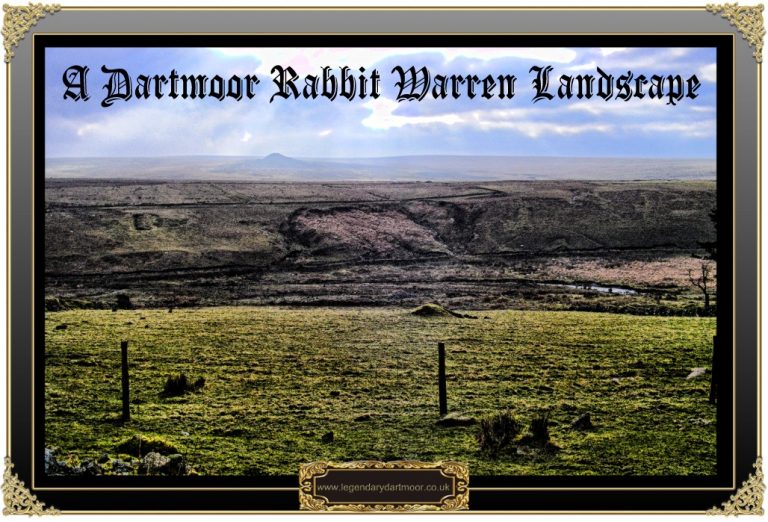 Rabbit Warrens – Legendary Dartmoor