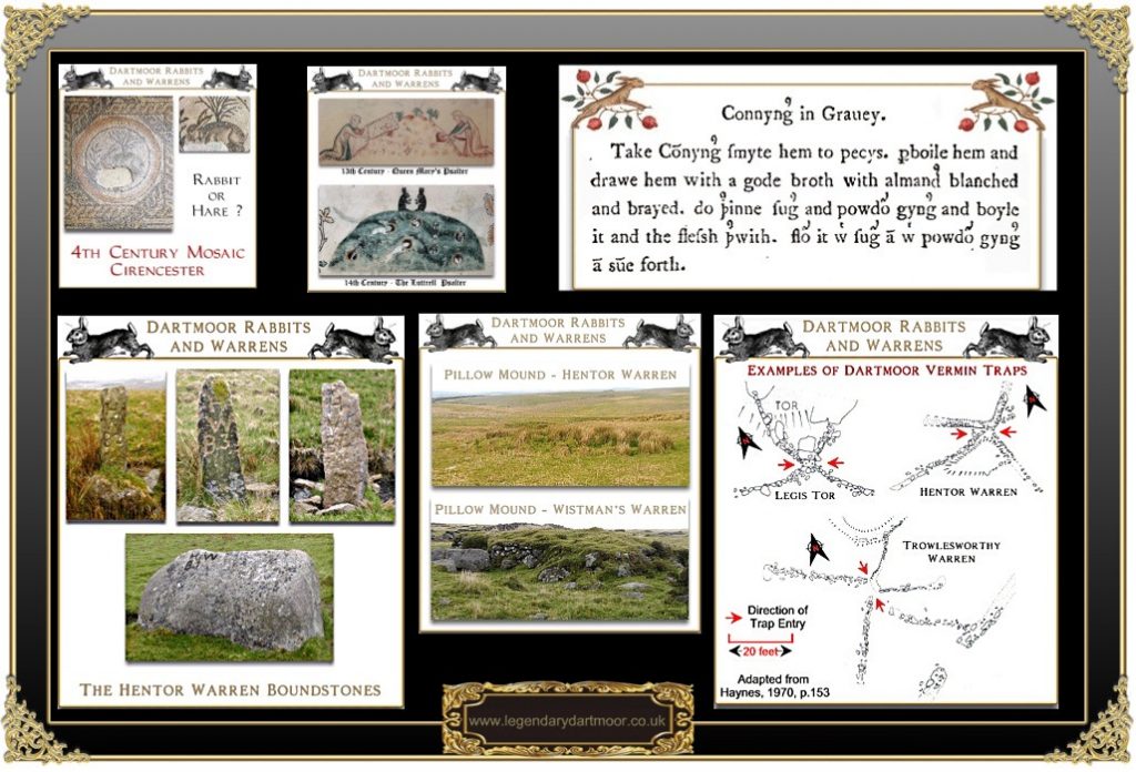 Rabbit Warrens – Legendary Dartmoor