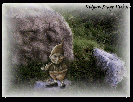Riddon Ridge – Legendary Dartmoor