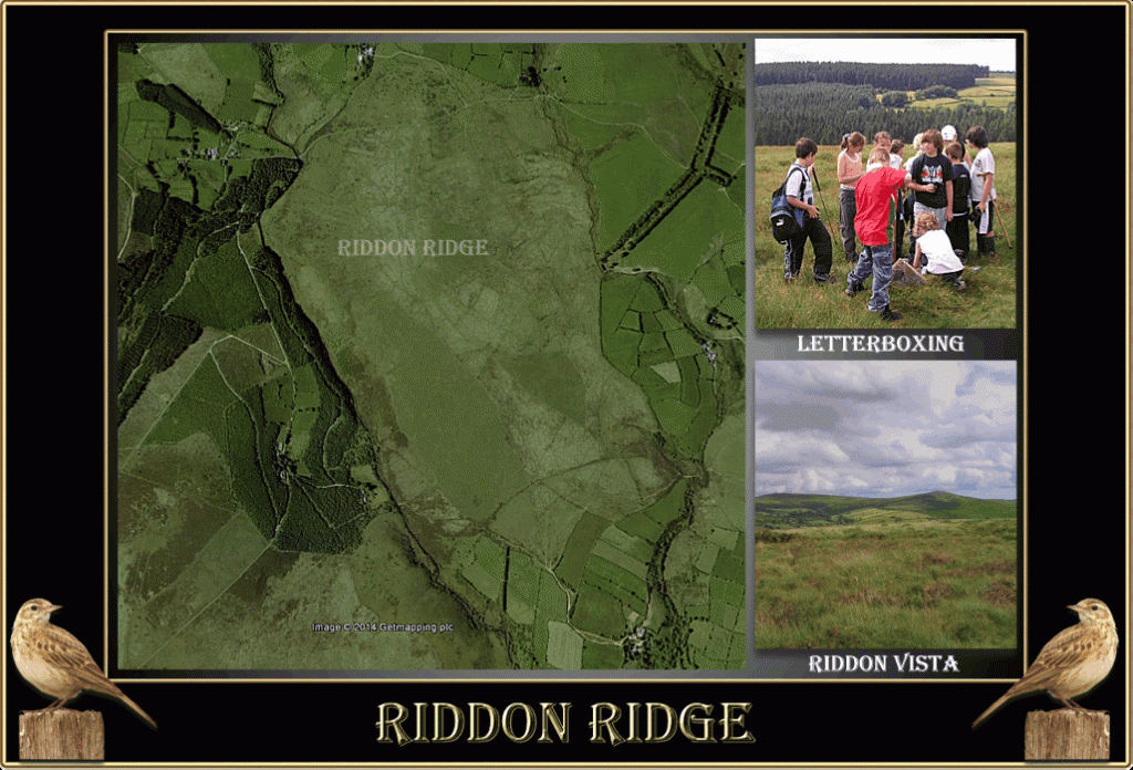 Riddon Ridge – Legendary Dartmoor