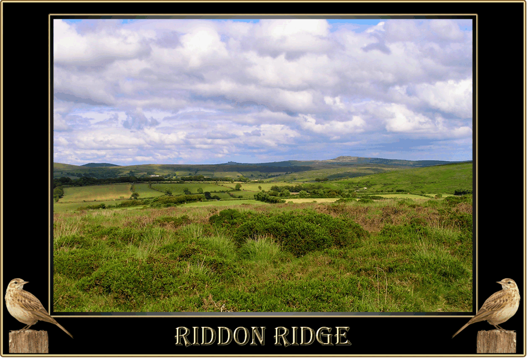 Riddon Ridge – Legendary Dartmoor