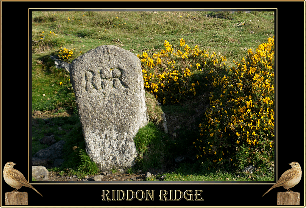 Riddon Ridge – Legendary Dartmoor