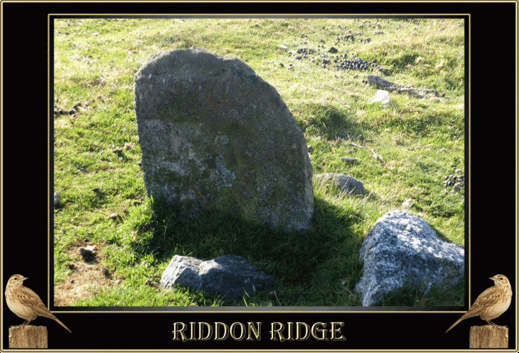 Riddon Ridge – Legendary Dartmoor