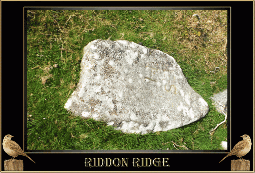 Riddon Ridge – Legendary Dartmoor
