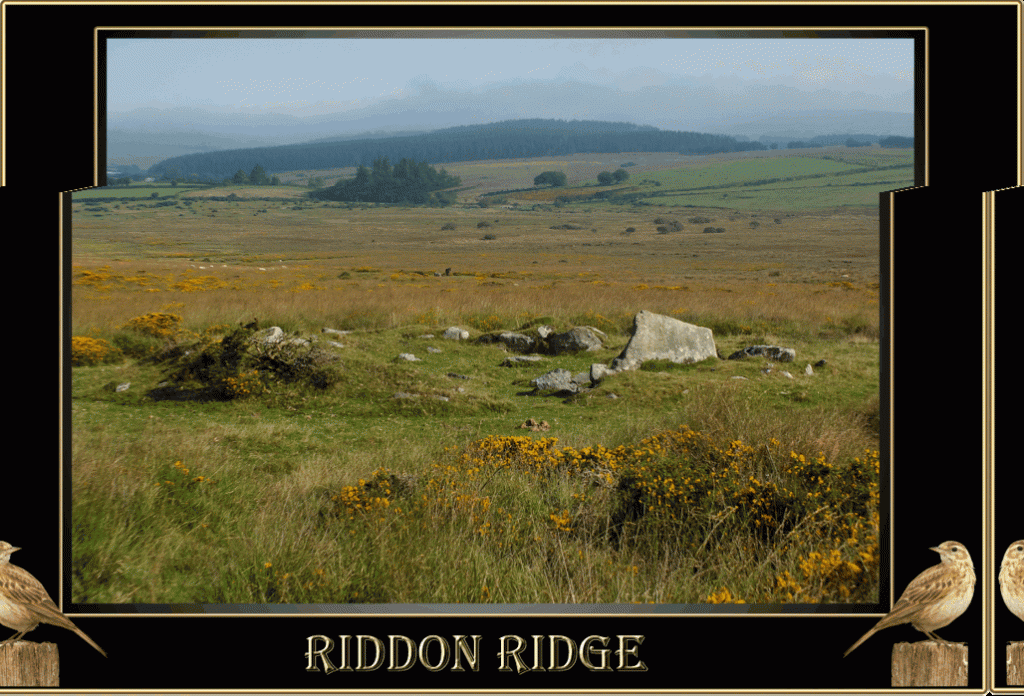 Michael Line – Legendary Dartmoor