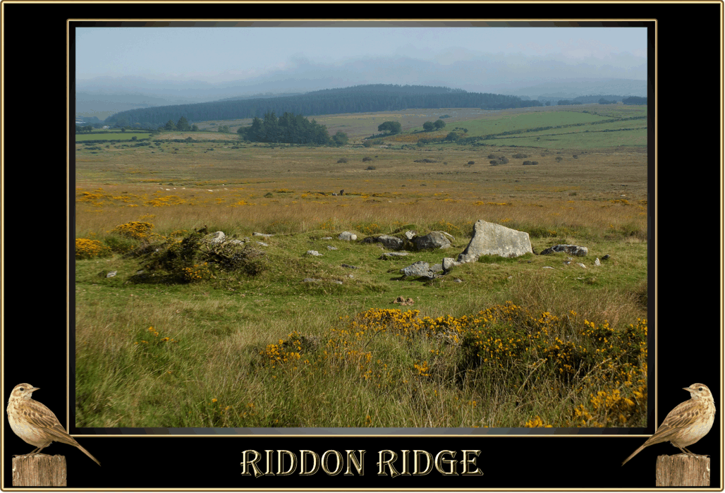 Riddon Ridge – Legendary Dartmoor