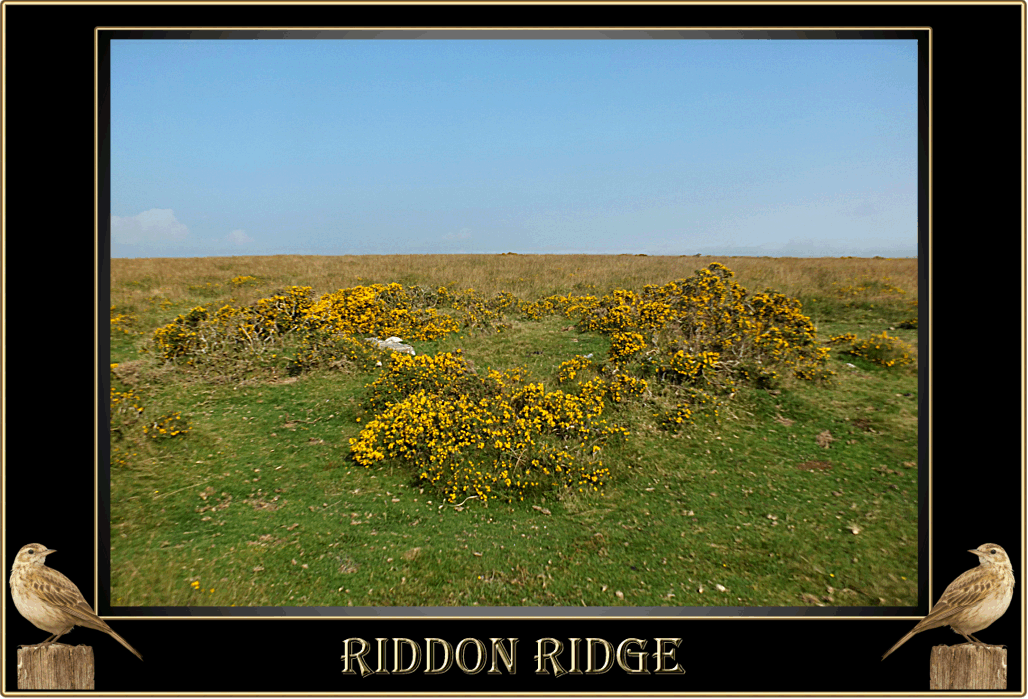 Riddon Ridge – Legendary Dartmoor