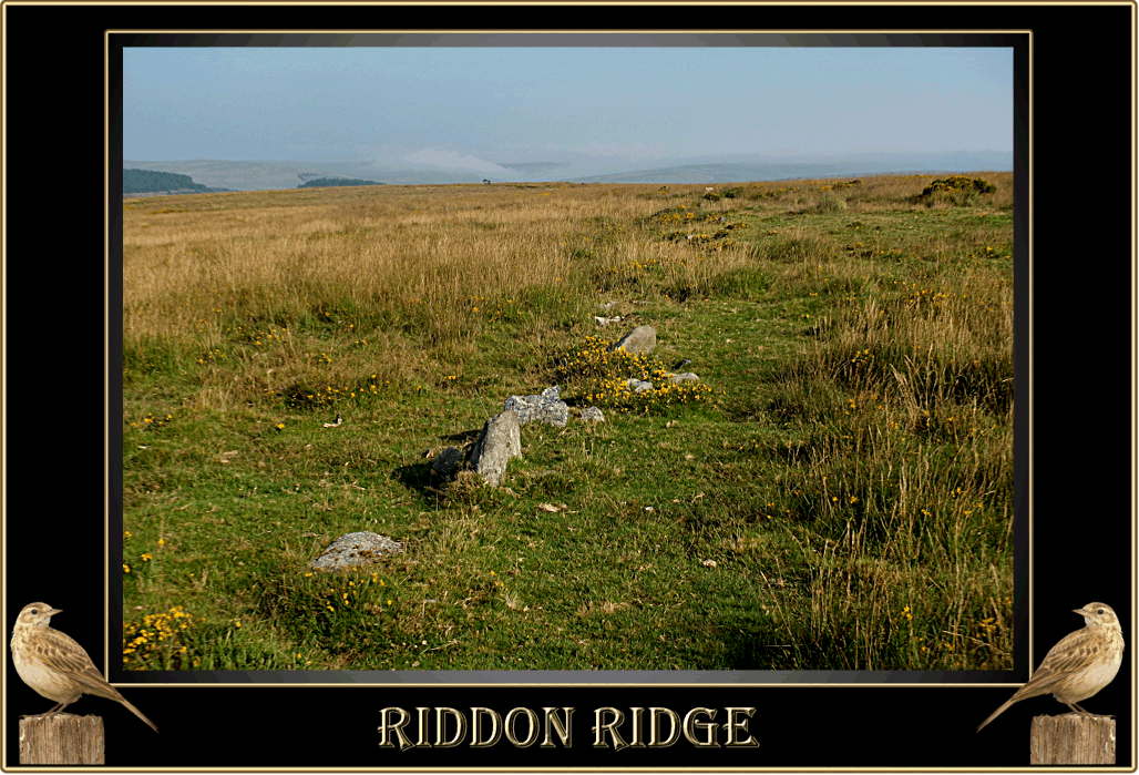 Riddon Ridge – Legendary Dartmoor