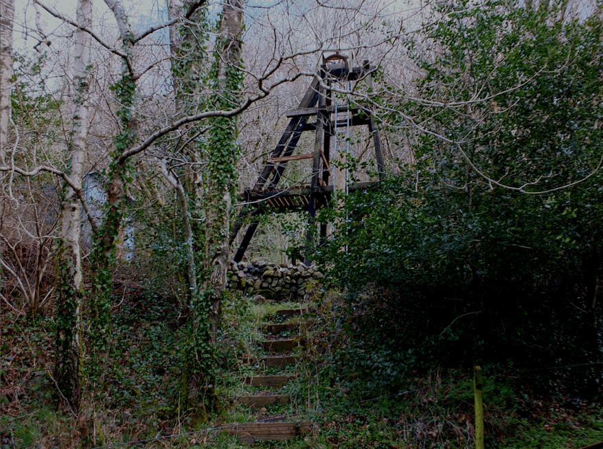 Kelly1 – Legendary Dartmoor