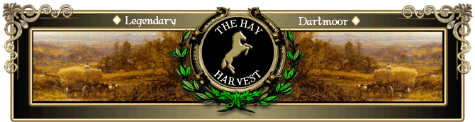 Hay – Legendary Dartmoor