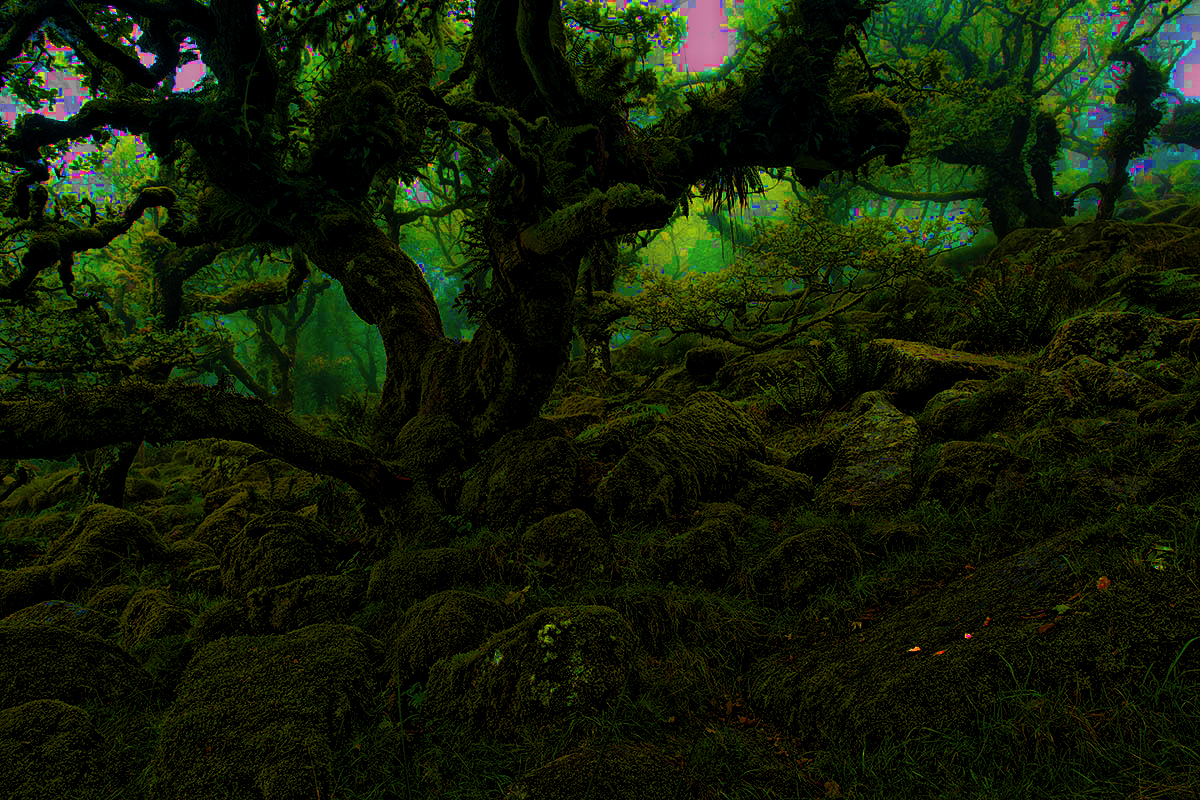 Wisht2 – Legendary Dartmoor