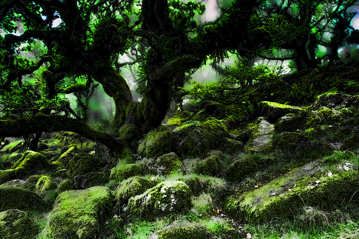 Wisht3 – Legendary Dartmoor